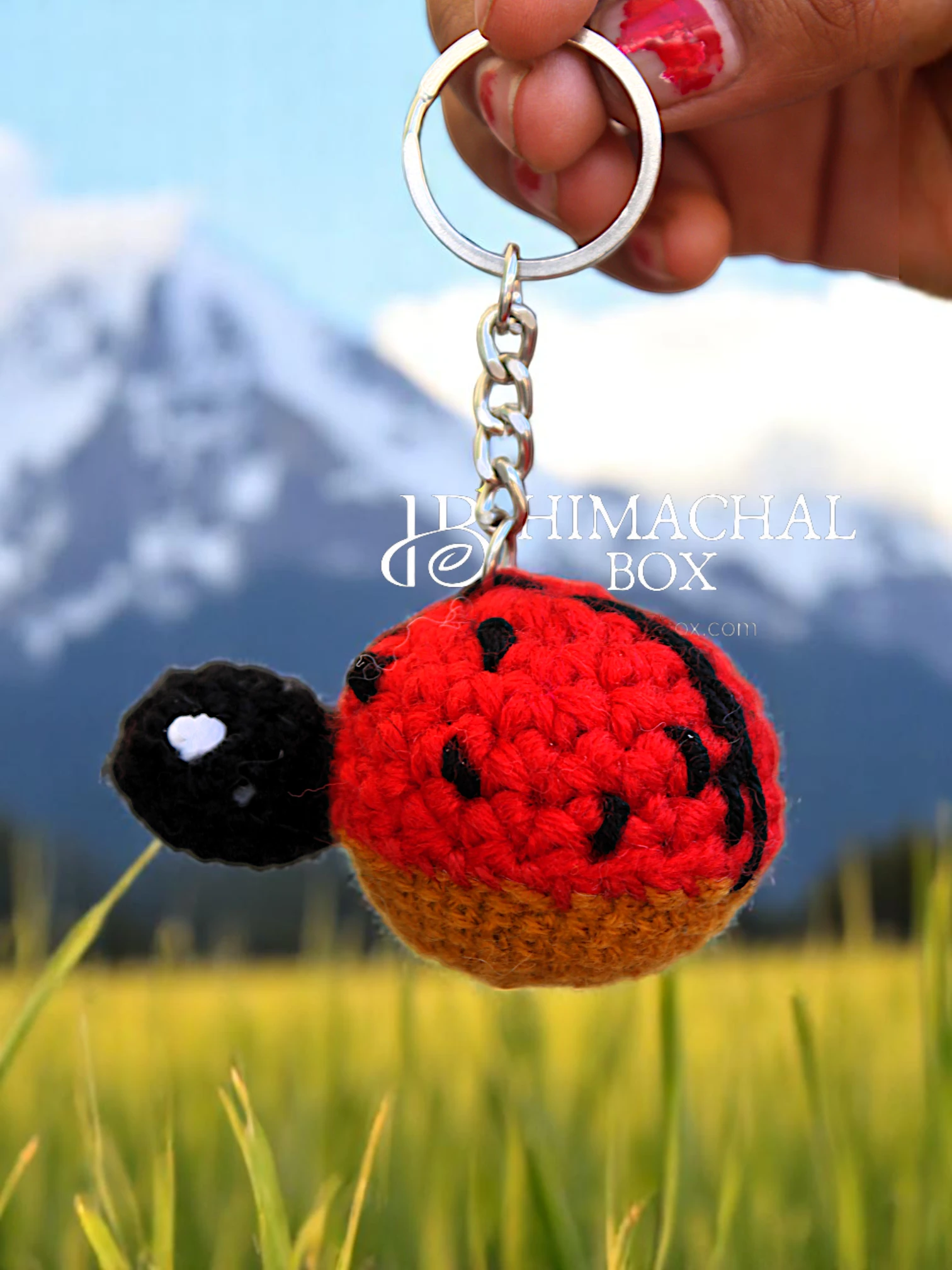 Handmade Crochet Lady Bug Keychain – Cute Himachali Accessory by Local ...