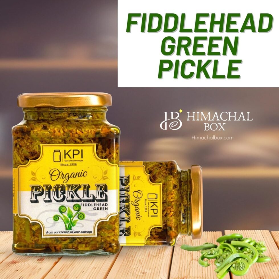 🌿 Homemade Organic Lingdi / Fern Fiddlehead Pickle – A Wild Himachali ...